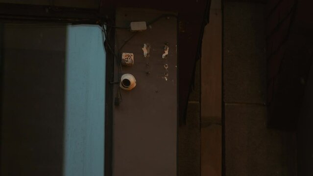 "Keep Watch" Images – Browse 2,022 Stock Photos, Vectors, and Video ...