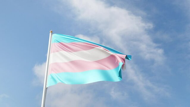 Tran Images – Browse 101,124 Stock Photos, Vectors, and Video | Adobe Stock