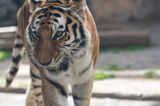 Discernment Images – Browse 338,327 Stock Photos, Vectors, and Video ...