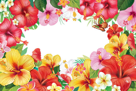 Hawaiian Lei Border Images – Browse 2,050 Stock Photos, Vectors, and ...