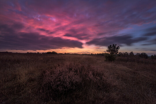 Rabanillo Images – Browse 4 Stock Photos, Vectors, and Video | Adobe Stock