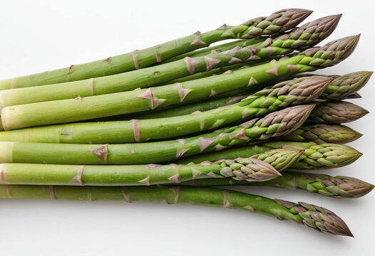 「固める」の写真素材 | 4,310,065件の無料イラスト画像 | Adobe Stock