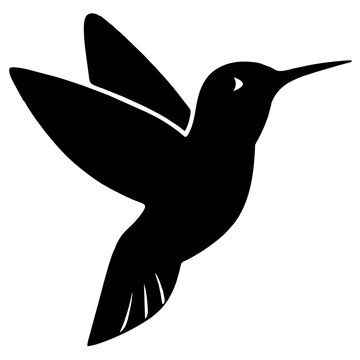 "Hummingbird Vector" Images – Parcourir 346 le catalogue de photos, vecteurs et vidéos | Adobe Stock
