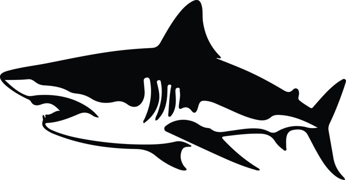 "Lemon Shark" Images – Browse 1,592 Stock Photos, Vectors, and Video ...
