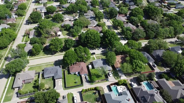Imágenes de "Greenery Background": descubre bancos de fotos ...