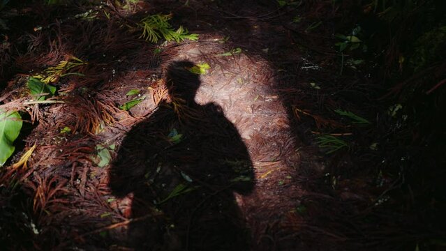 "Man Shadow" Images – Browse 302 Stock Photos, Vectors, and Video ...