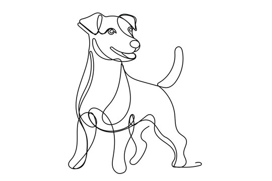 "Jack Russel Terrier" Images – Browse 168,282 Stock Photos, Vectors ...