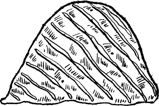Apple Turnover Images – Browse 38,679 Stock Photos, Vectors, and Video ...