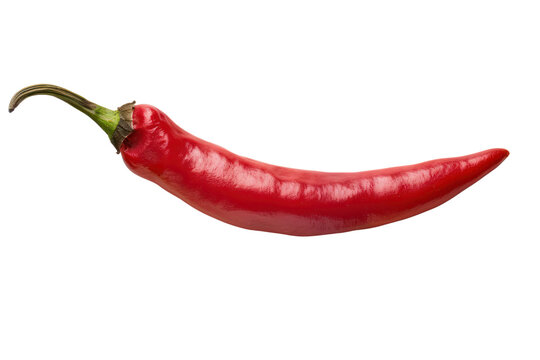 "Red Chilli"-Bilder: Stock-Fotos & -Videos. | Adobe Stock