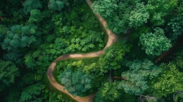 Path Images – Browse 6,667,312 Stock Photos, Vectors, and Video | Adobe ...