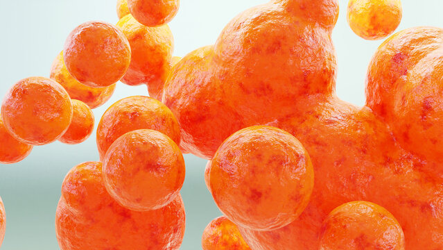 Lipid Droplet Images – Browse 597 Stock Photos, Vectors, and Video ...