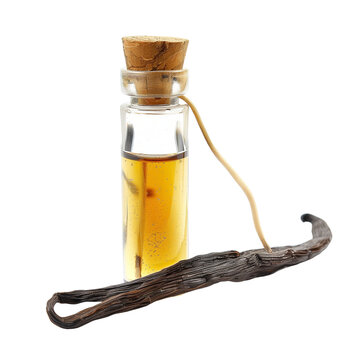 "Vanilla Extract" Images – Browse 5,507 Stock Photos, Vectors, and ...