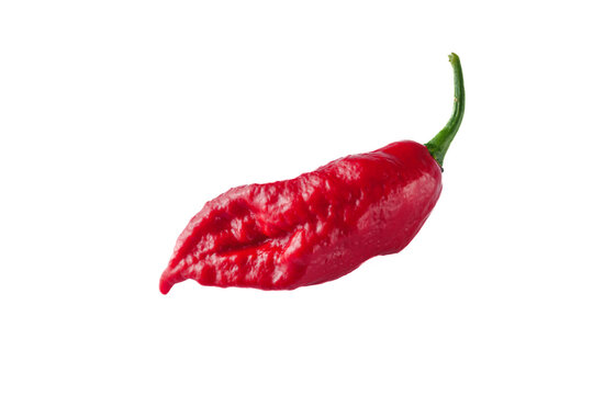 Bhut Images – Browse 1,096 Stock Photos, Vectors, and Video | Adobe Stock