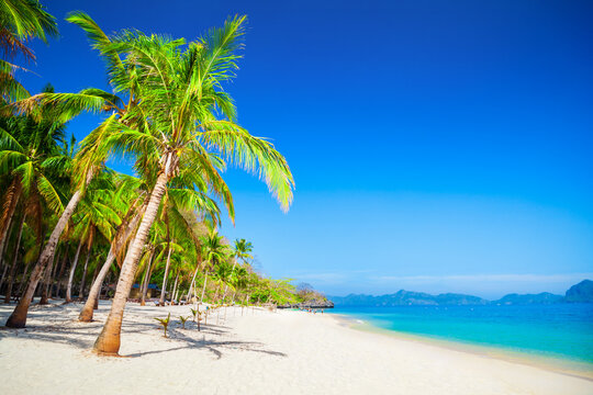 "El Bilder – Durchsuchen 234,152 Archivfotos, Vektorgrafiken und Videos ...