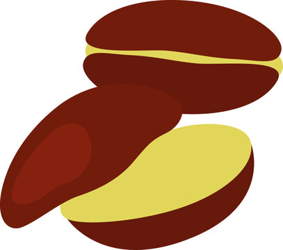 รูปภาพJengkol – เลือกดูภาพถ่ายสต็อก เวกเตอร์ และวิดีโอ378 | Adobe Stock