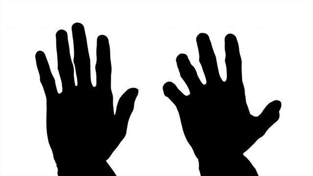 Salute Shadow Images – Browse 3,528 Stock Photos, Vectors, and Video ...