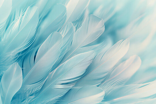 Imágenes de "Soft Background": descubre bancos de fotos, ilustraciones ...