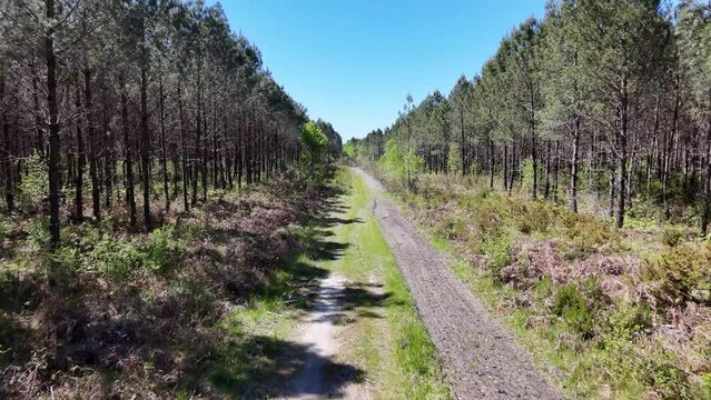 Chemin Images – Browse 104,444 Stock Photos, Vectors, and Video | Adobe ...