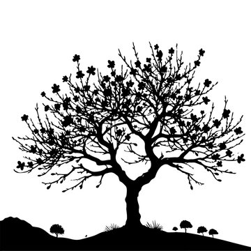 Almond Tree Vector
