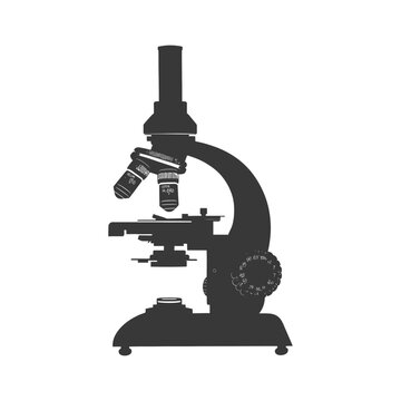 Microscope Silhouette Images – Browse 13,758 Stock Photos, Vectors, and ...