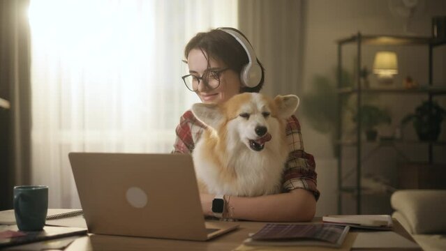 Corgi Computer Images – Browse 1,566 Stock Photos, Vectors, and Video ...