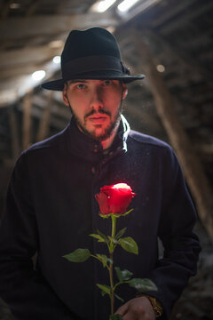 Dmitriy photos, images, assets | Adobe Stock