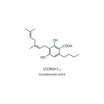 "Entourage Effect" Images – Browse 545 Stock Photos, Vectors, and Video ...