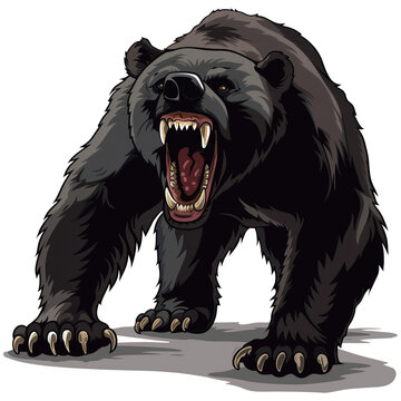 "Aggressive Bear"-Bilder: Stock-Fotos & -Videos. | Adobe Stock
