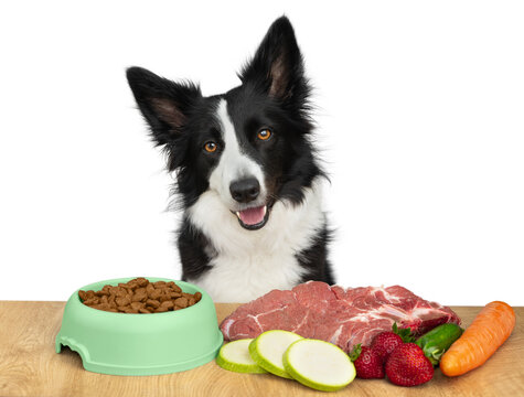 รูปภาพStarveling – เลือกดูภาพถ่ายสต็อก เวกเตอร์ และวิดีโอ456 | Adobe Stock