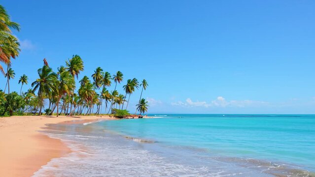 Insensible Images – Browse 3,308 Stock Photos, Vectors, and Video ...