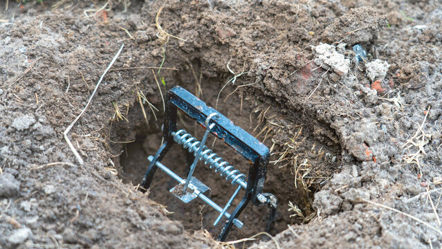 "Foothold Trap" Images – Browse 296,069 Stock Photos, Vectors, and ...