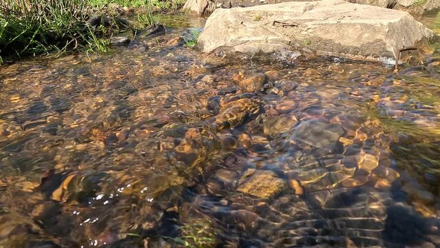 "Summer Stream" Images – Browse 28 Stock Photos, Vectors, and Video ...