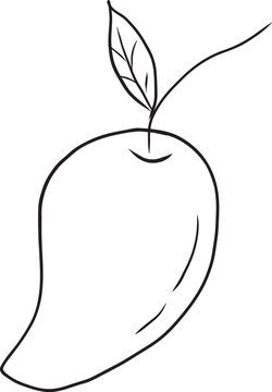 Mango Line Drawing Images – Browse 8,192 Stock Photos, Vectors, and ...
