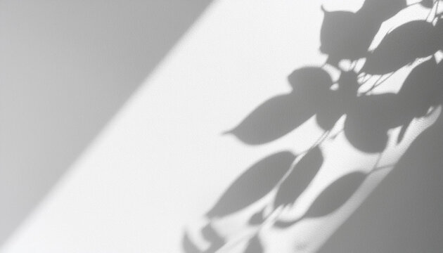 Drop Shadow Images – Browse 195,201 Stock Photos, Vectors, and Video ...