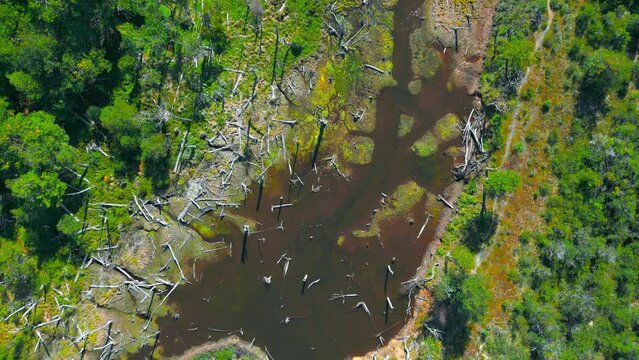 "Amazon River" Images – Browse 9,789 Stock Photos, Vectors, and Video ...