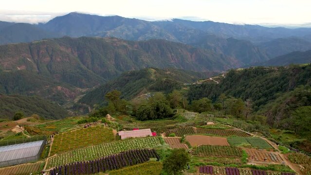 Atok Images – Browse 129 Stock Photos, Vectors, and Video | Adobe Stock