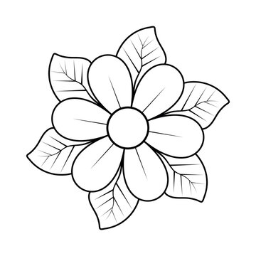 Single Flower Drawing Images – Browse 402,054 Stock Photos, Vectors ...