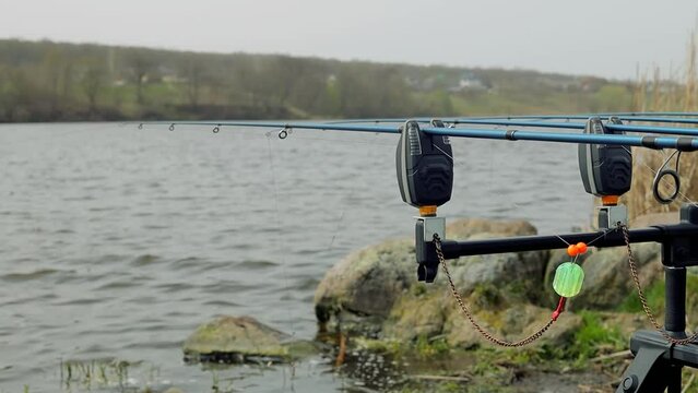 "Carp Fishing" Images – Browse 21,755 Stock Photos, Vectors, and Video ...