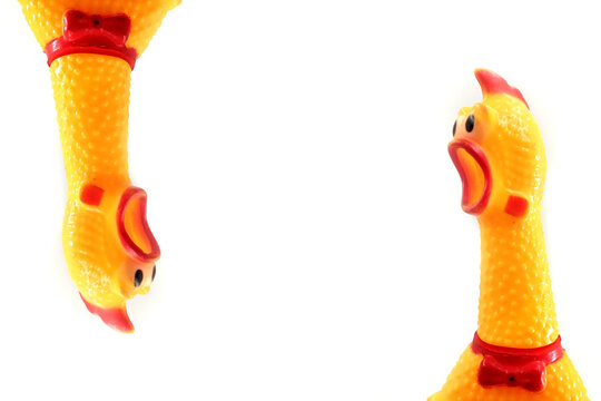 "Rubber Chicken" Images – Browse 464 Stock Photos, Vectors, and Video ...