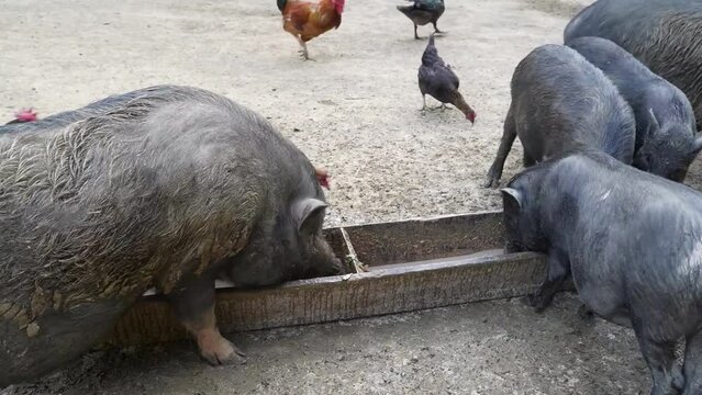 Jostle Images – Browse 2,532 Stock Photos, Vectors, and Video | Adobe Stock