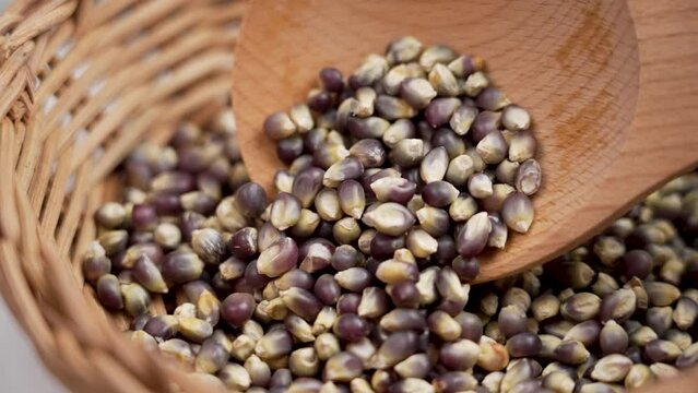 "Maize Kernels" Images – Browse 781 Stock Photos, Vectors, and Video ...