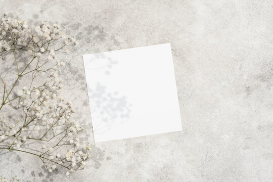 "Log Graph Paper" Images – Browse 68,836 Stock Photos, Vectors, and ...