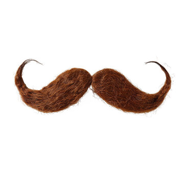 "Fake Mustache" Imagens – Procure 582 fotos, vetores e vídeos | Adobe Stock