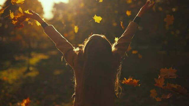 "Throwing Leaves" Images – Browse 447 Stock Photos, Vectors, and Video ...