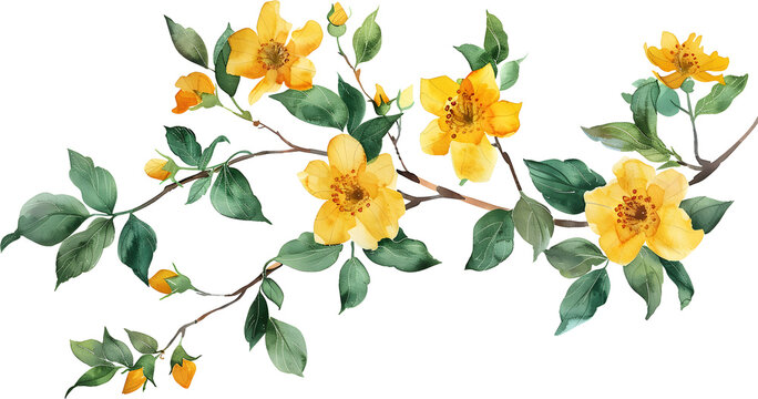 "Transparent Flower" Images – Browse 2,460 Stock Photos, Vectors, and ...