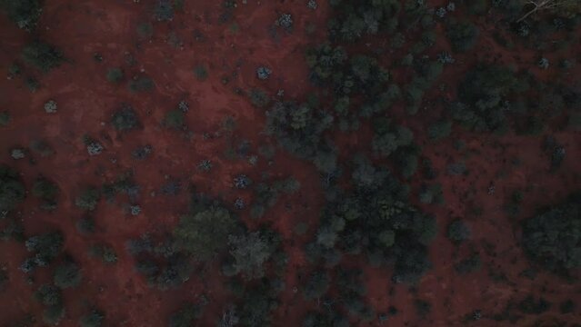 "Red Earth" Images – Browse 4,740 Stock Photos, Vectors, and Video ...