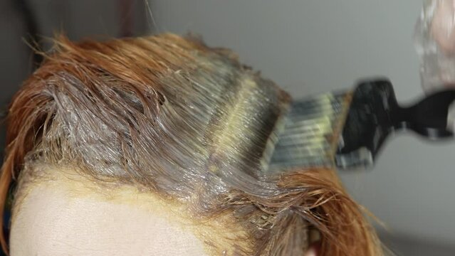 Applying Hair Color Images – Browse 72,886 Stock Photos, Vectors, and ...