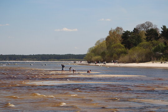 Ryska Images – Browse 9 Stock Photos, Vectors, and Video | Adobe Stock