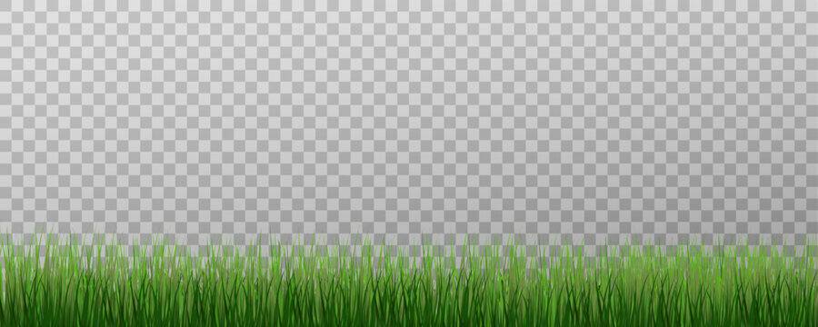 Grass Transparent Background Images – Browse 202,550 Stock Photos ...