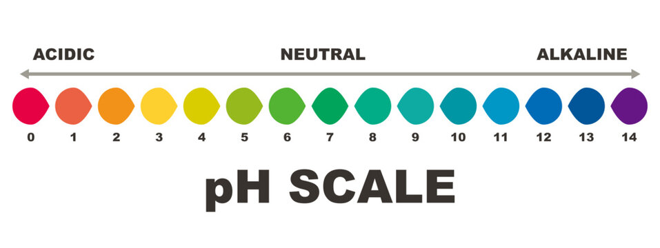 "Ph Scale" Images – Browse 35,922 Stock Photos, Vectors, and Video ...